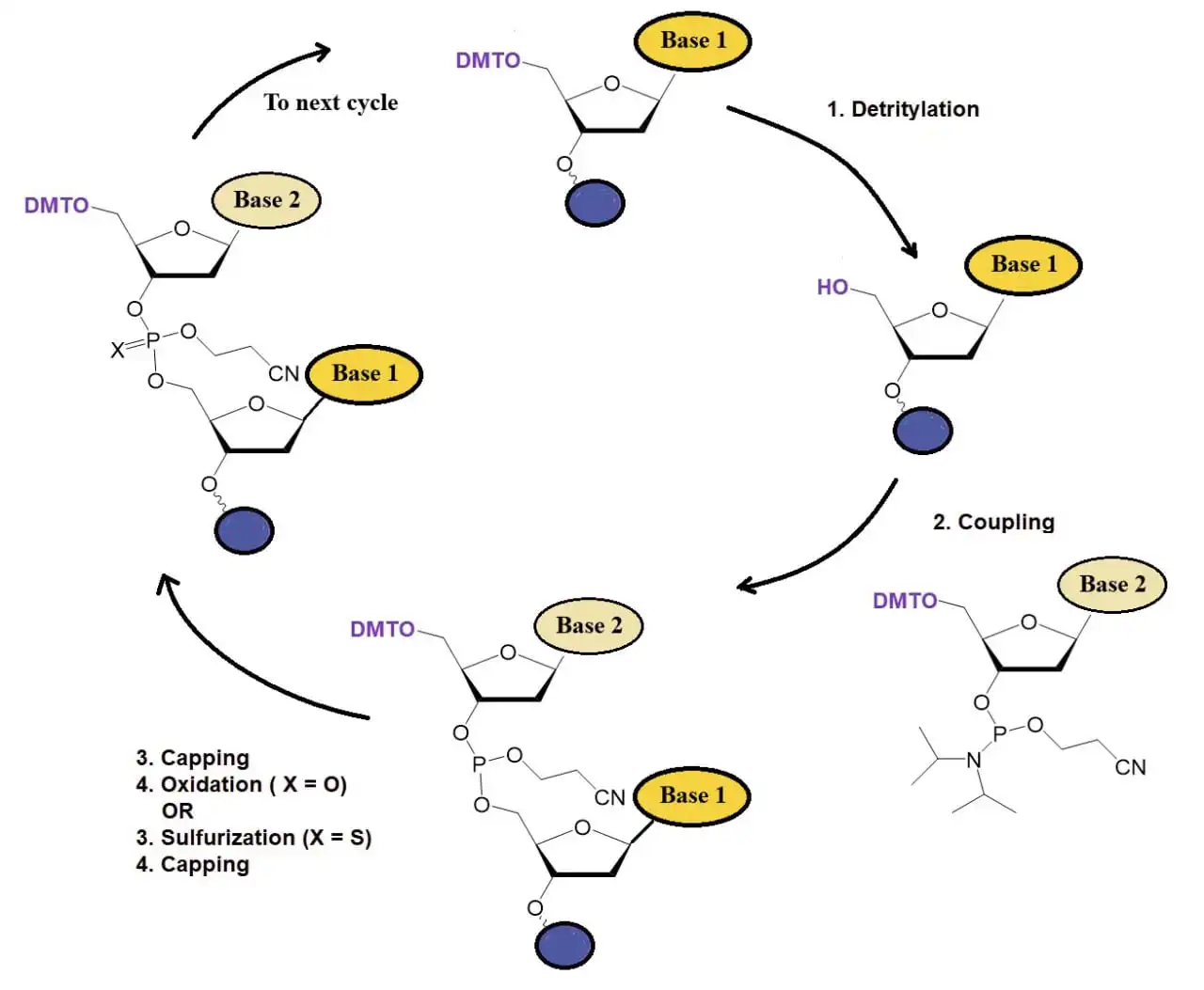Peptide Machines